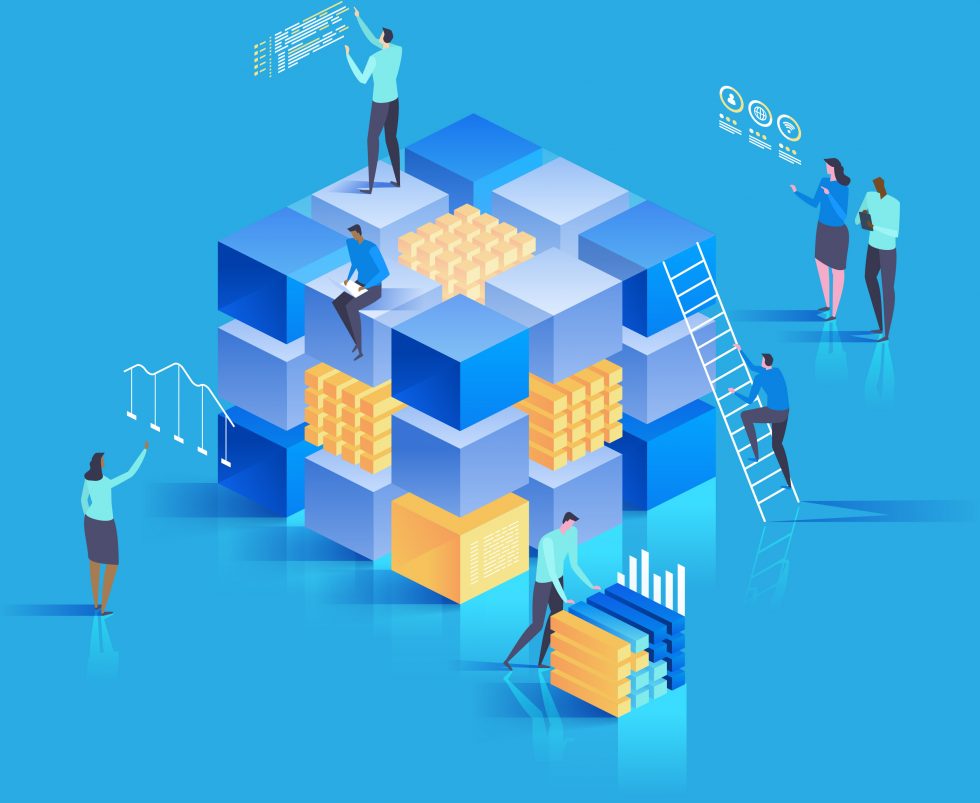 Platform - LiveDataset